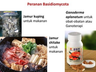 Bab 5 jamur | PPTX