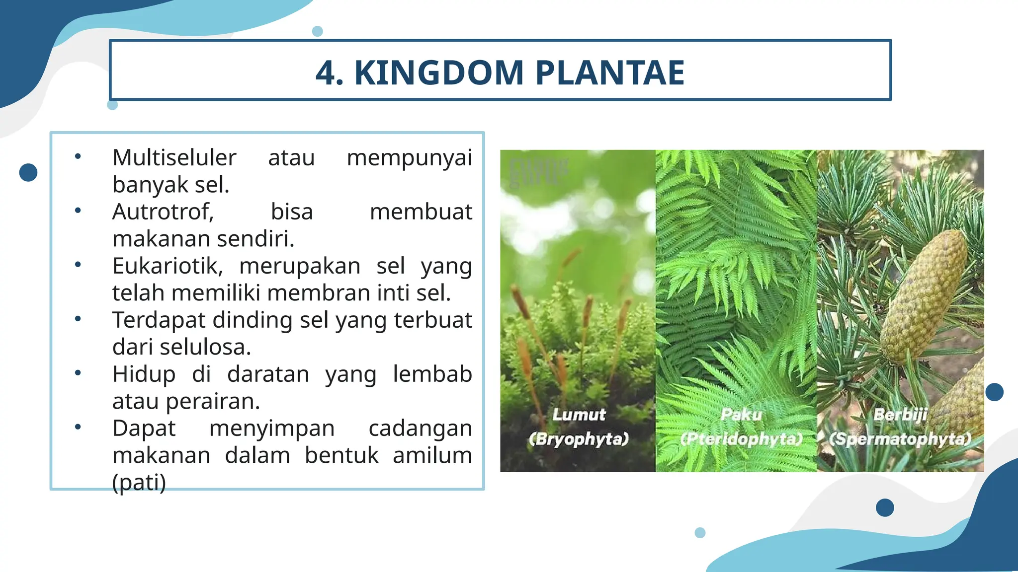 BAB 5 Klasifikasi Makhluk Hidup (5 Kingdom).pptx