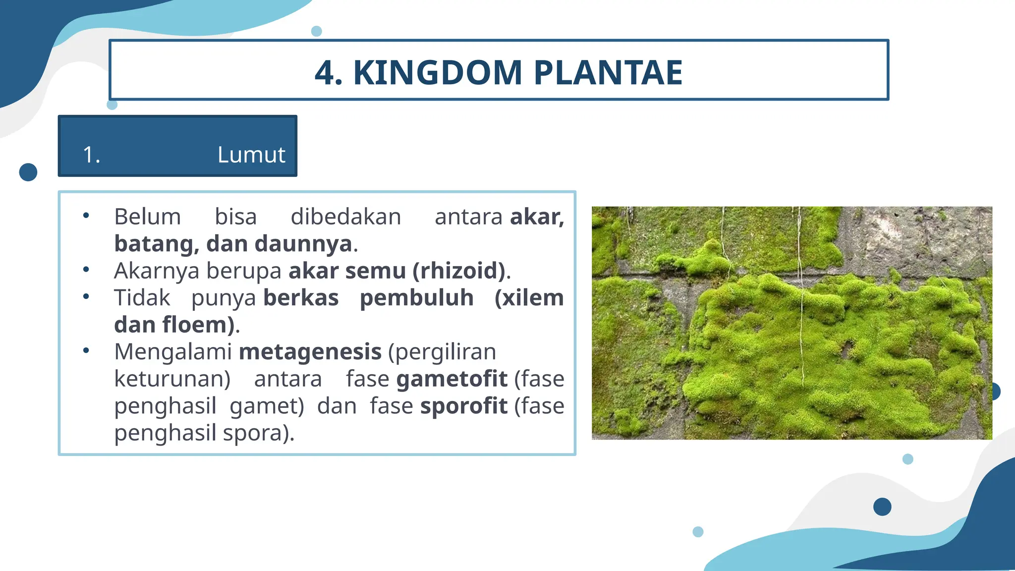BAB 5 Klasifikasi Makhluk Hidup (5 Kingdom).pptx