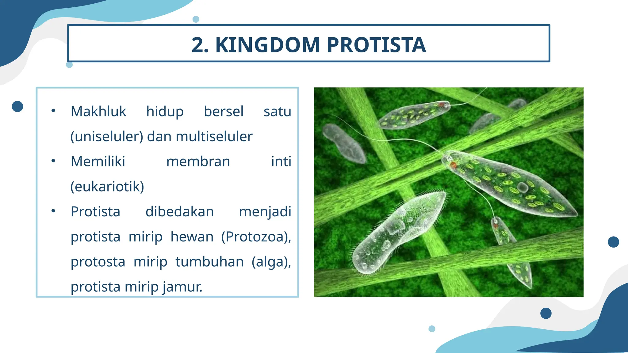 BAB 5 Klasifikasi Makhluk Hidup (5 Kingdom).pptx