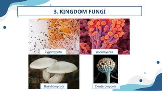 BAB 5 Klasifikasi Makhluk Hidup (5 Kingdom).pptx