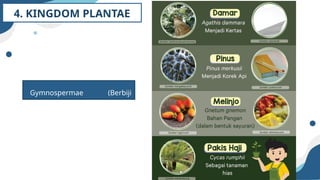 BAB 5 Klasifikasi Makhluk Hidup (5 Kingdom).pptx