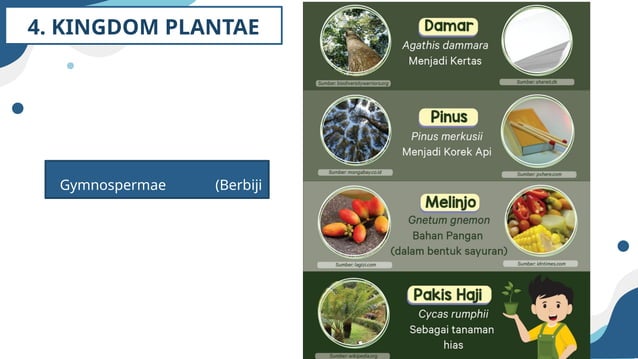 BAB 5 Klasifikasi Makhluk Hidup (5 Kingdom).pptx