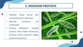 BAB 5 Klasifikasi Makhluk Hidup (5 Kingdom).pptx