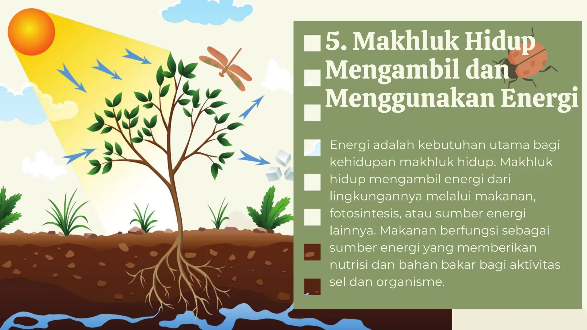 Bab 5 Klasifikasi Makhluk Hidup ke 1.pptx