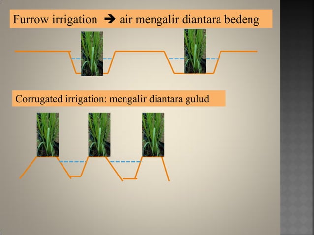 MK Irigasi dan Drainase Bab 5 pemberian air dan efisiensi plus tugas | PDF