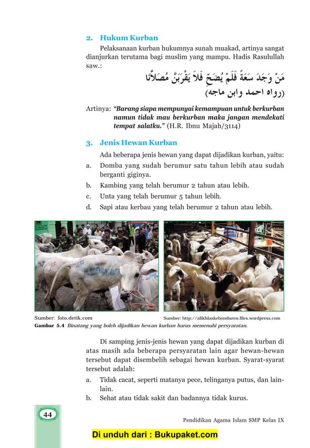 Bab 5 penyembelihan hewan | PDF