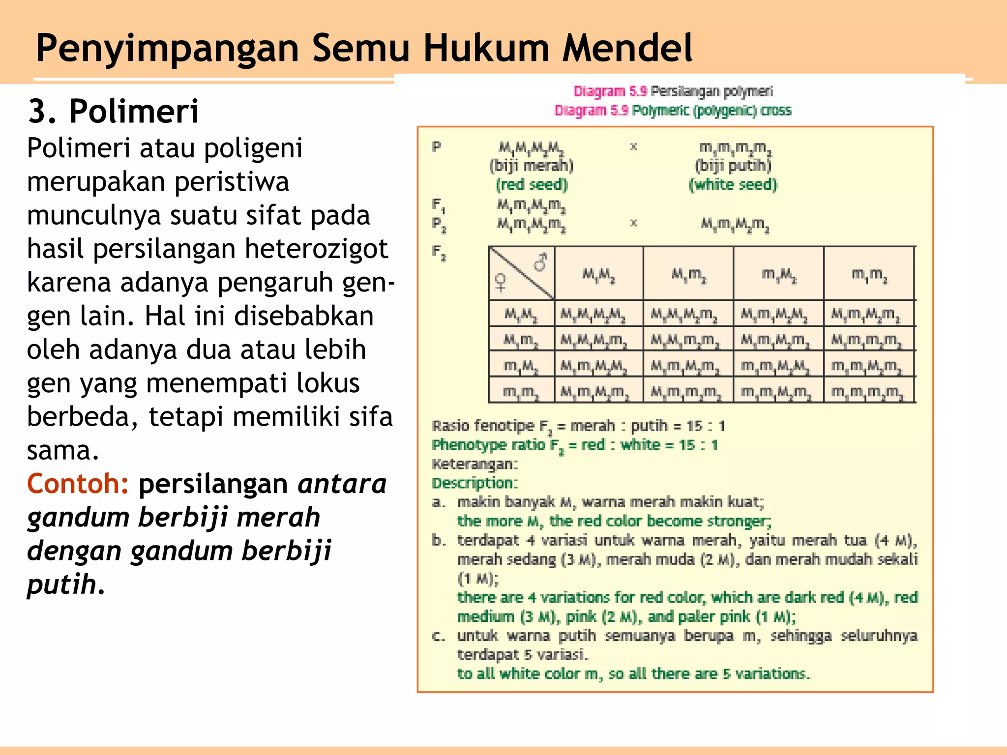 Bab 5 pola pola hereditas kelas XII SMA IPA | PPT