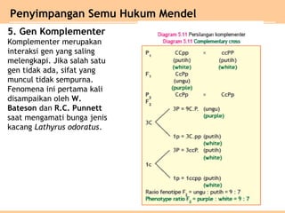 Bab 5 pola pola hereditas kelas XII SMA IPA | PPT