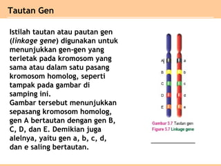 Bab 5 pola pola hereditas kelas XII SMA IPA | PPT