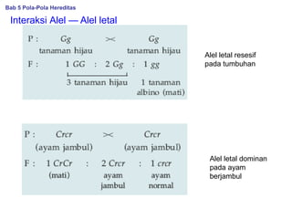 Bab 5 pola pola hereditas | PPT