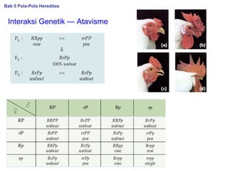 Bab 5 pola pola hereditas | PPT