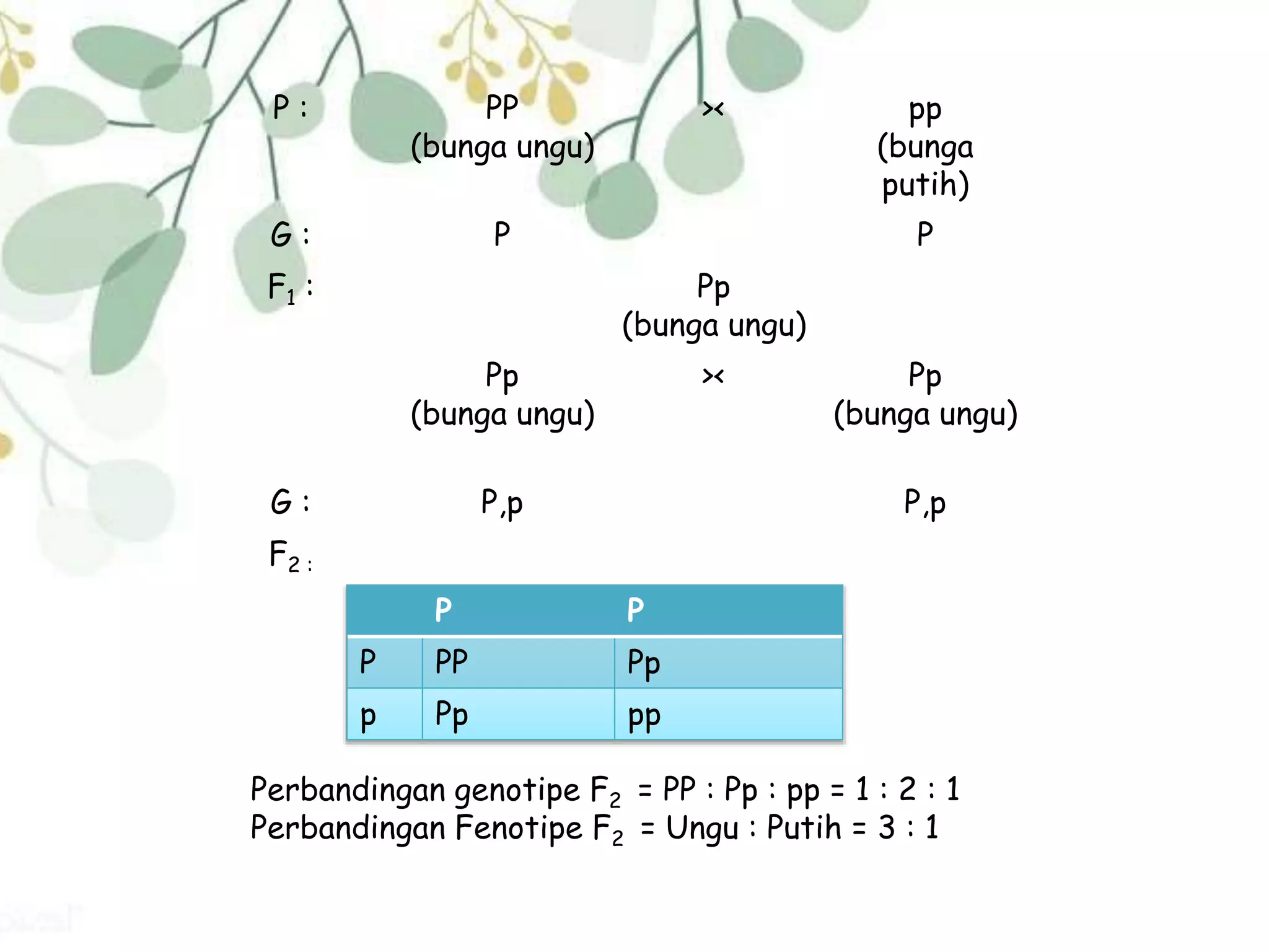 BAB 5 POLA PEWARISAN SIFAT PADA HUKUM MENDEL dan BAB 6 POLA-POLA HEREDITAS.pptx