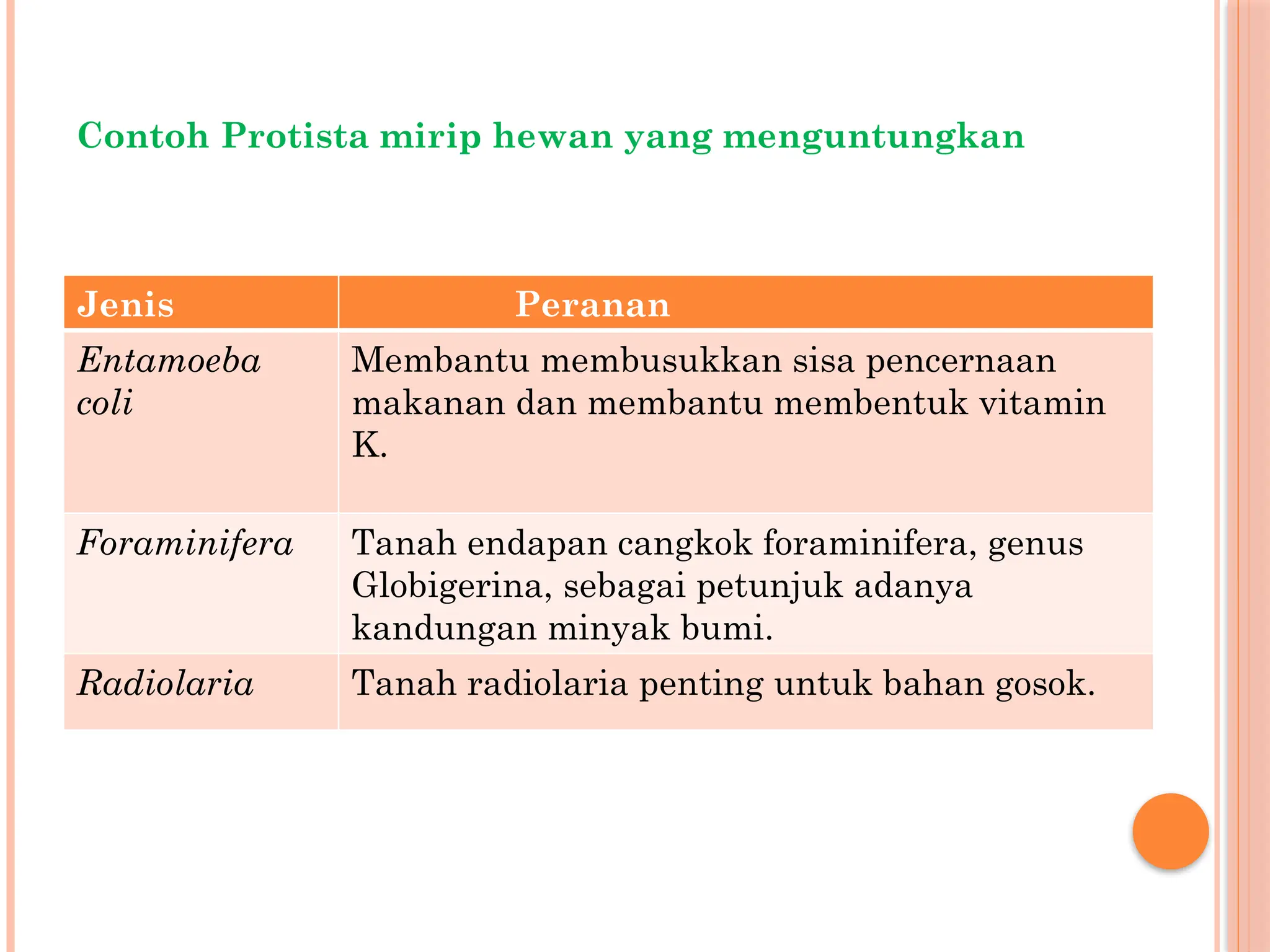 Bab 5 Protista.pptx, slideshare.net,docs | PPTX