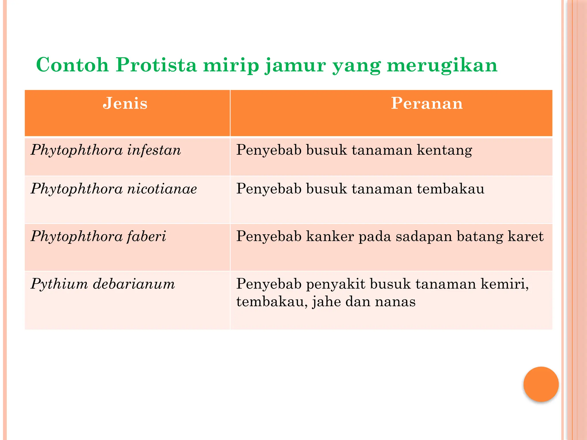 Bab 5 Protista.pptx, slideshare.net,docs | PPTX
