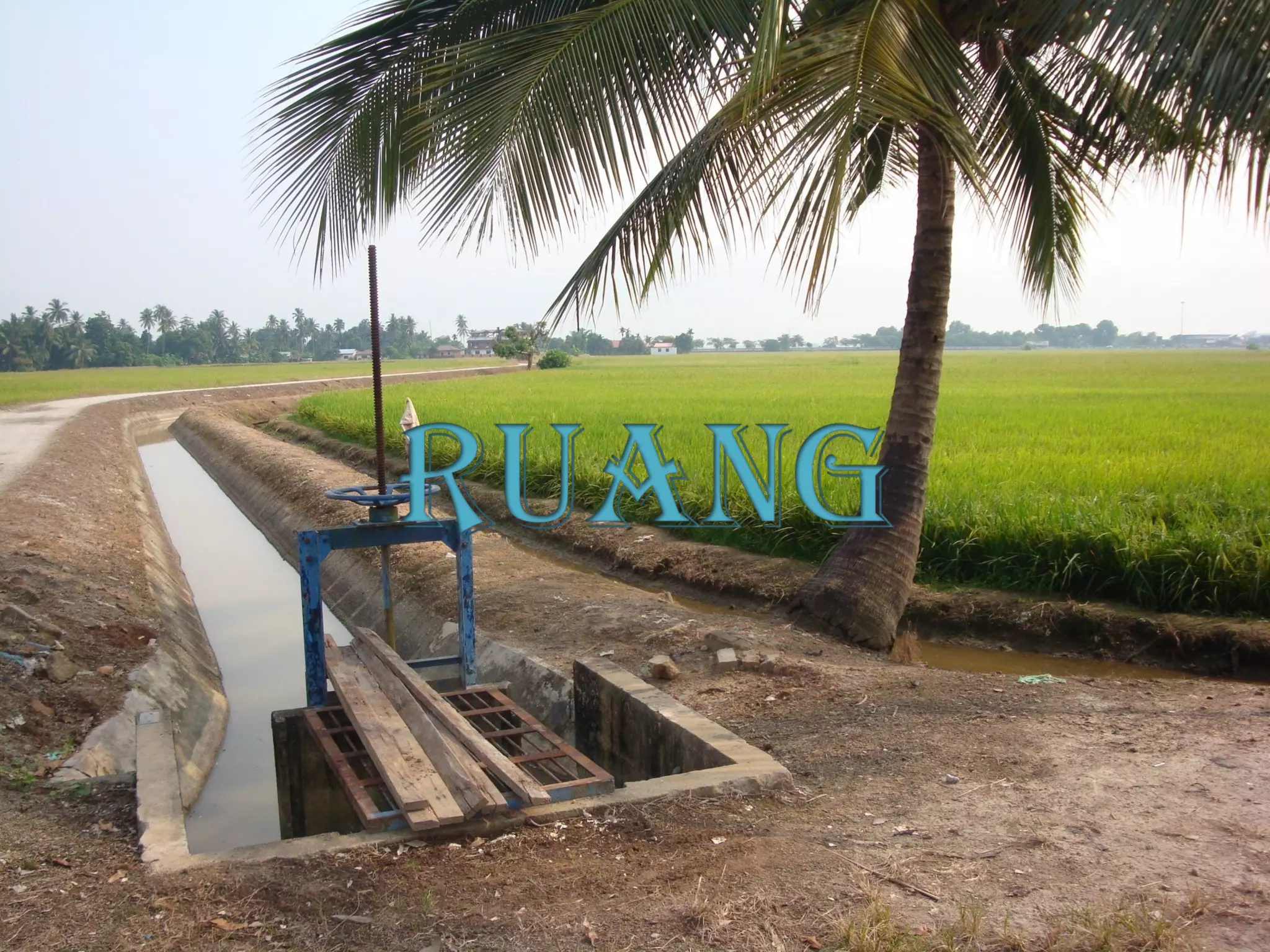 Ruang | PPT