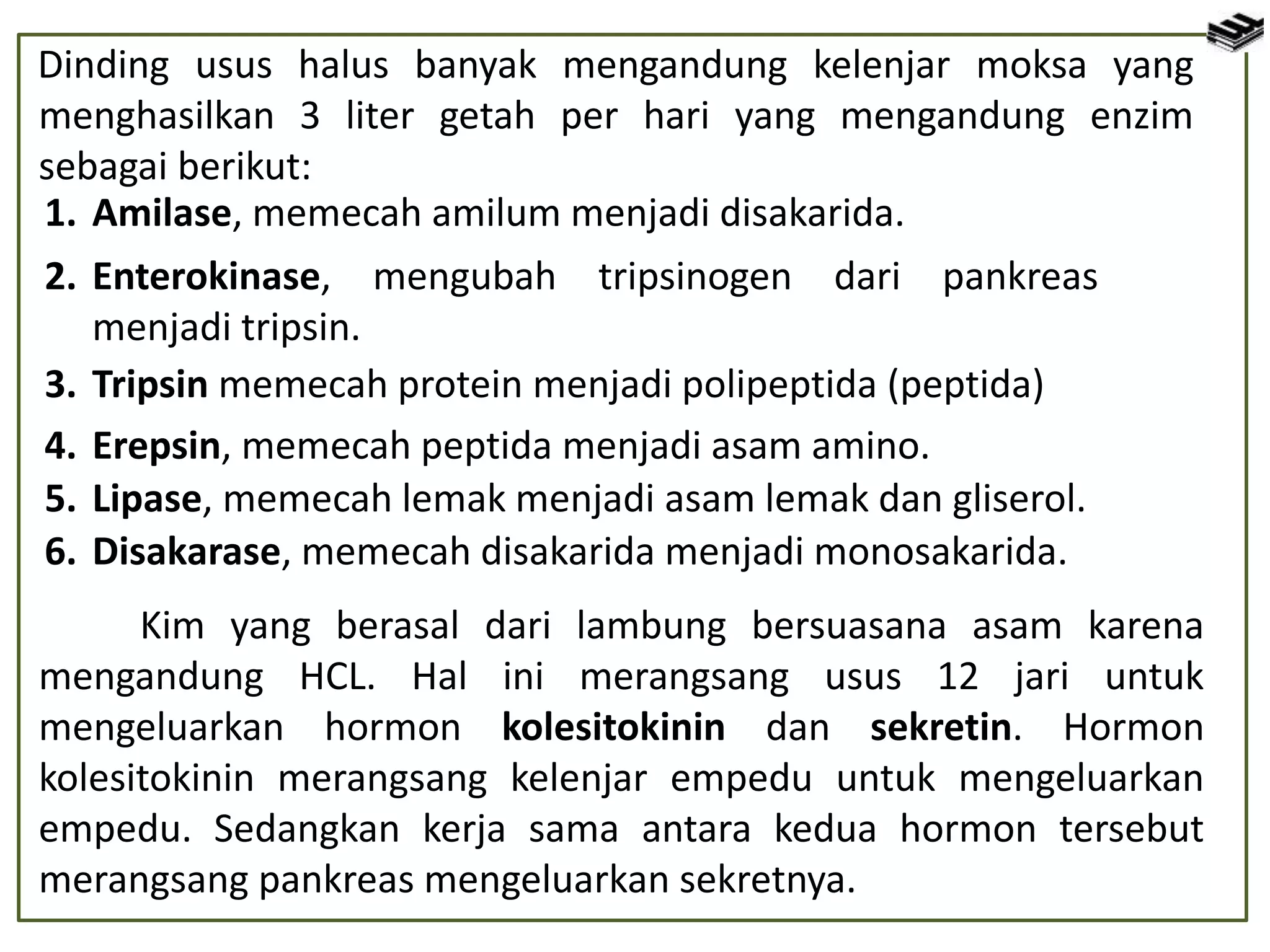 Bab 5 Sistem Pencernaan Makanan.pptx