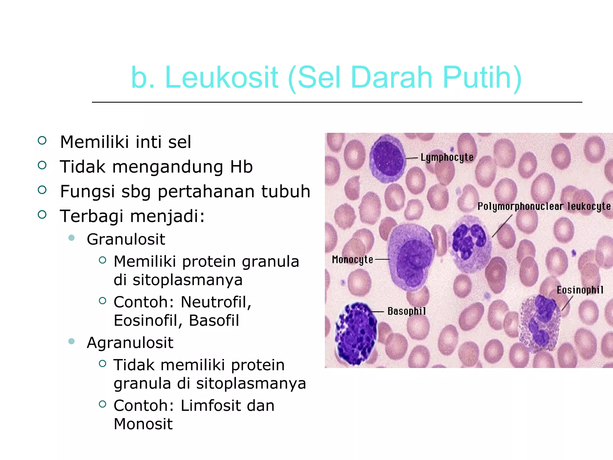 Sistem Peredaran Darah - Biologi SMA Kelas XI | PPT