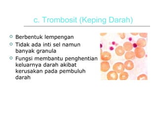Sistem Peredaran Darah - Biologi SMA Kelas XI | PPT