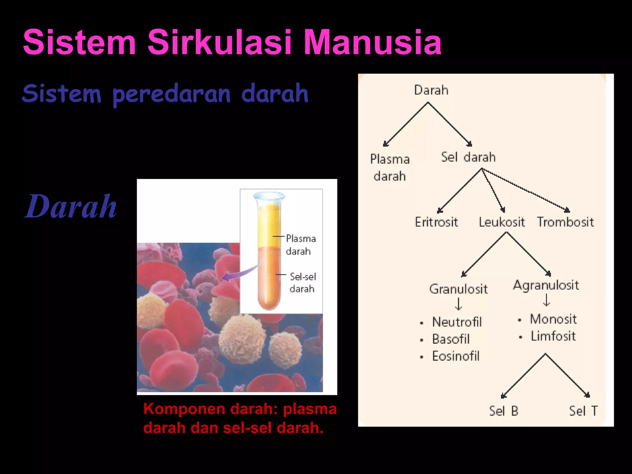 Bab 5 sistem sirkulasi | PPT