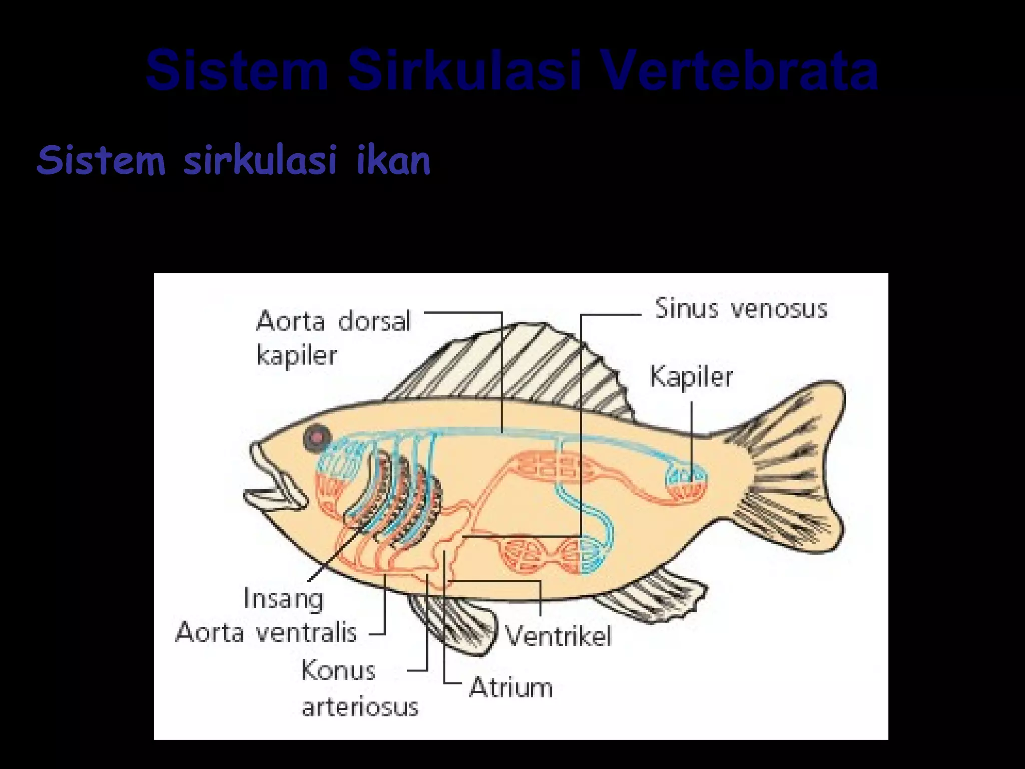 Bab 5 sistem sirkulasi | PPT