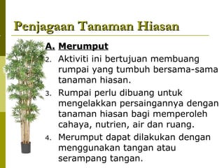KHB TING 2 - Bab 5 Tanaman Hiasan | PPT