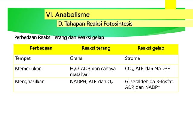PPT MATERI ANABOLISME KELAS XII SMA .pptx