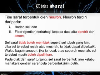 Bab 6 - Anatomi & Fisiologi (1).pdf