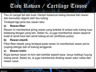 Bab 6 - Anatomi & Fisiologi (1).pdf