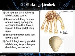 Bab 6 - Anatomi & Fisiologi (1).pdf