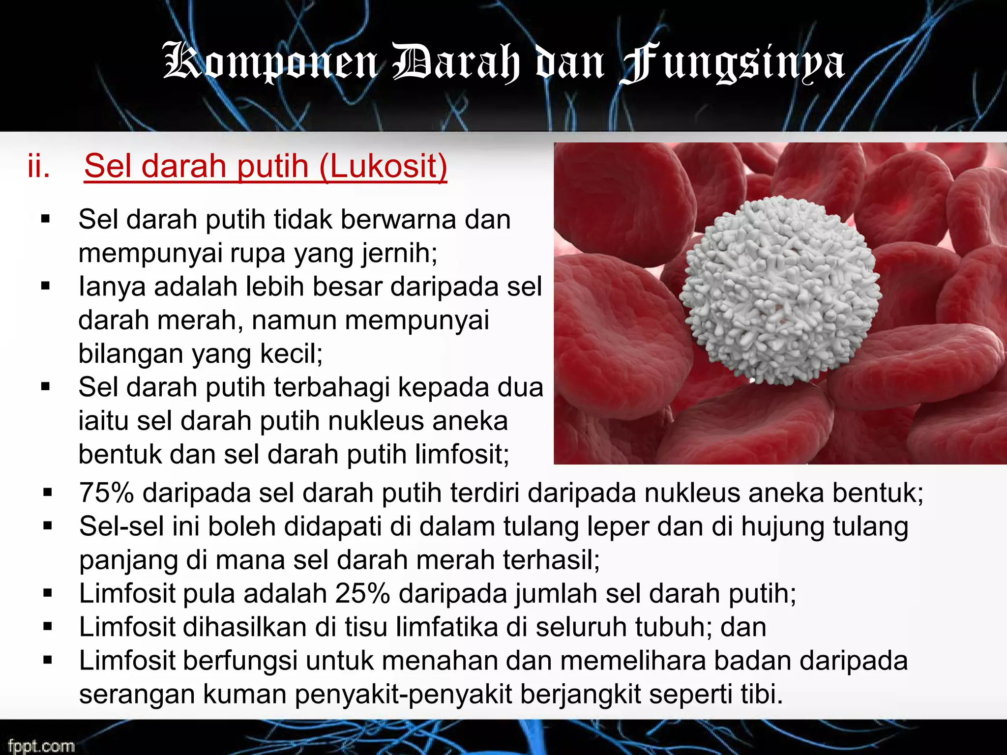 bab6-anatomifisiologi2-140717003356-phpapp01.pdf