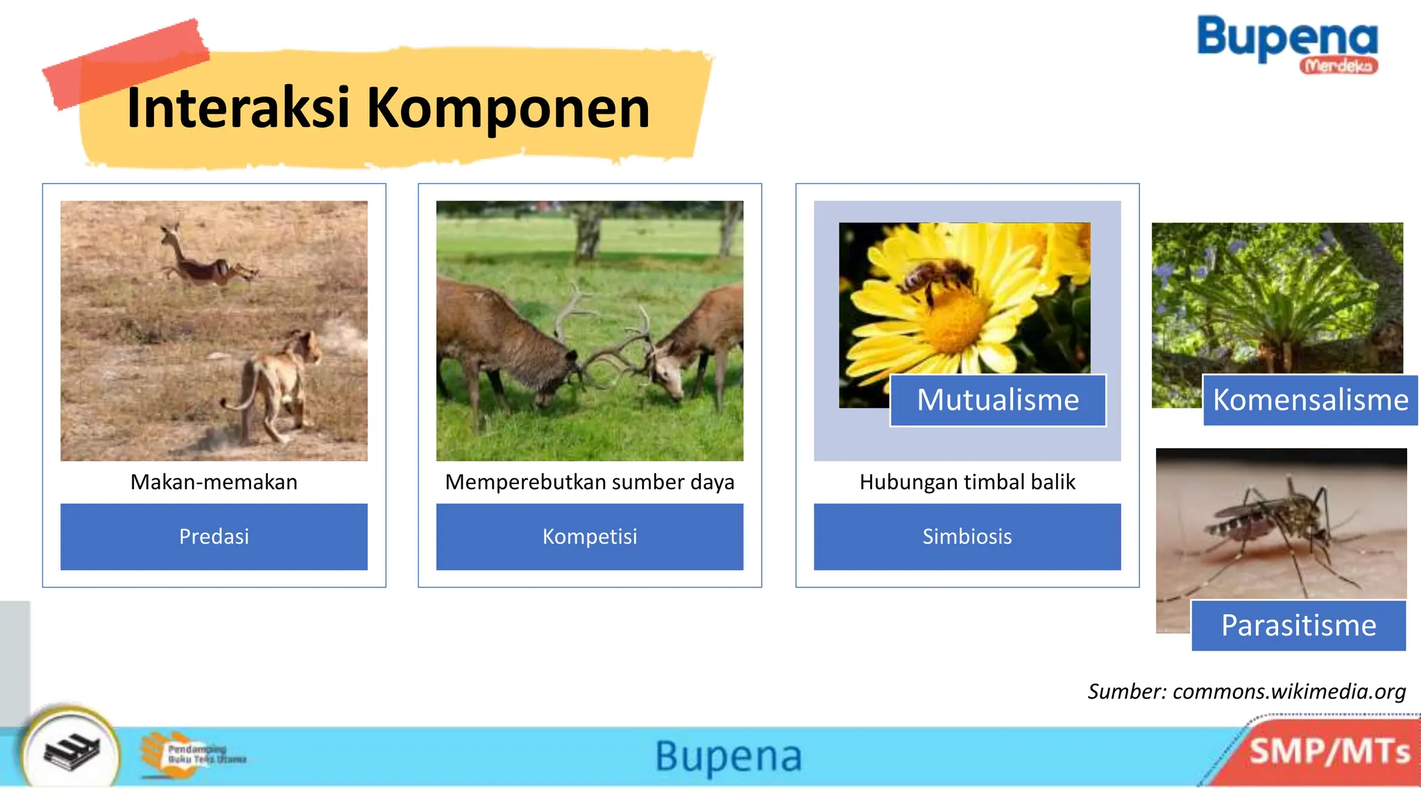 Bab 6 pelajaran ipa smp - Ekosistem.pptx