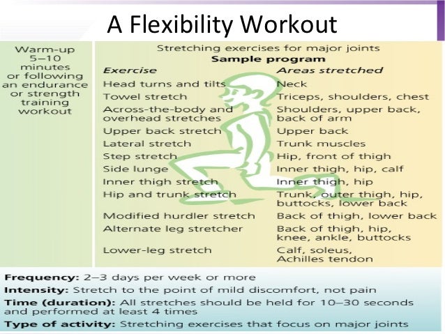 Bab 6 fleksibiliti dan kecergasan