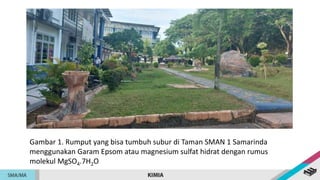 BAB 6 - Hidrolisis Garam stdy kelas 11.pptx