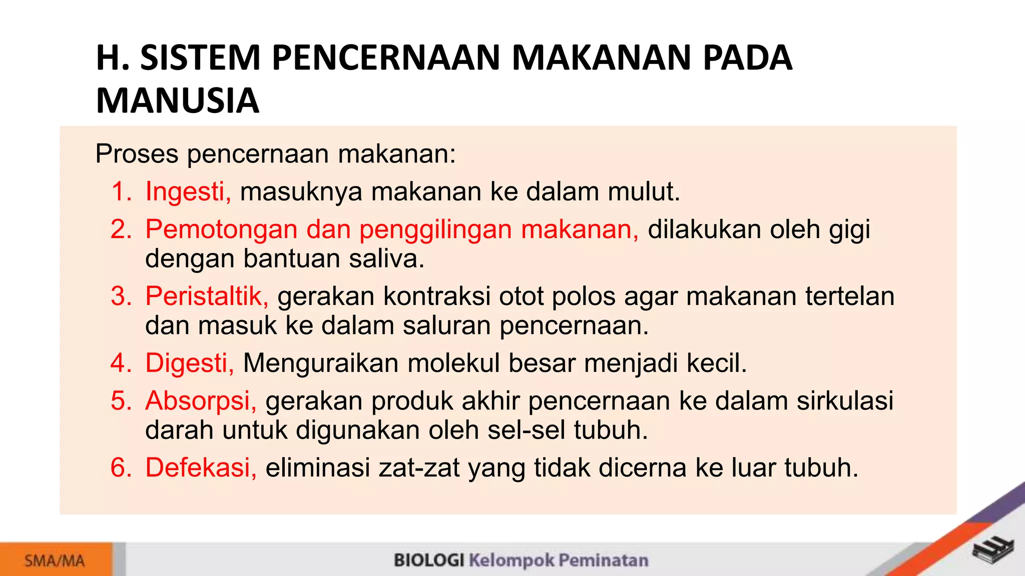 BAB 6 - SISTEM PENCERNAAN - NEW-std.ppt
