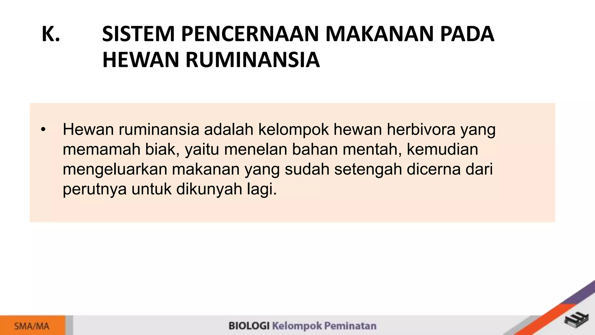 BAB 6 - SISTEM PENCERNAAN - NEW-std.ppt