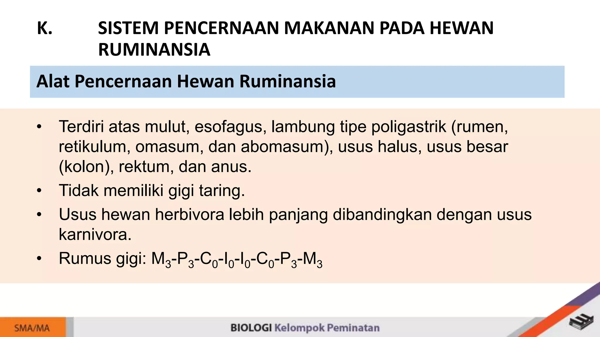 BAB 6 - SISTEM PENCERNAAN - NEW-std.ppt