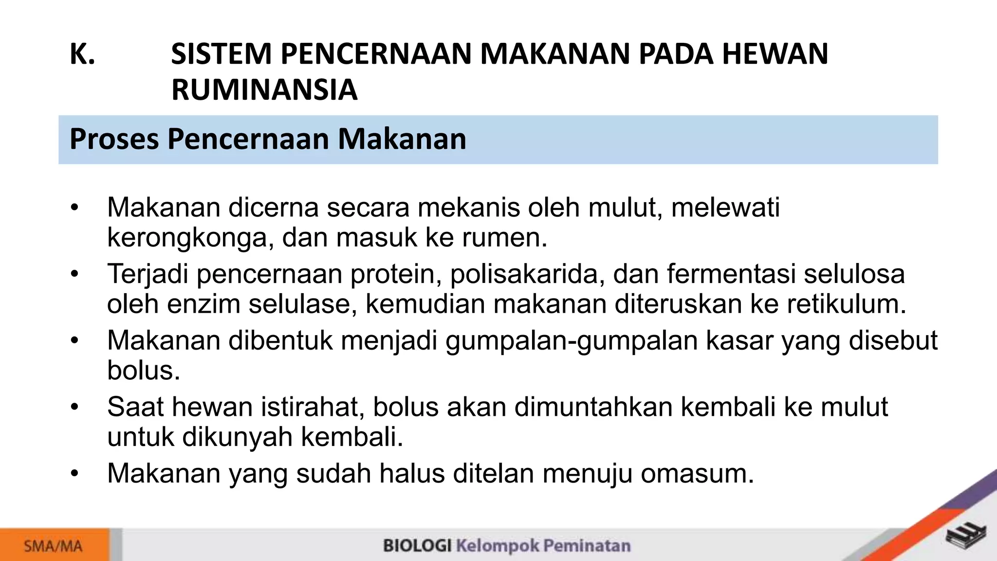 BAB 6 - SISTEM PENCERNAAN - NEW-std.ppt