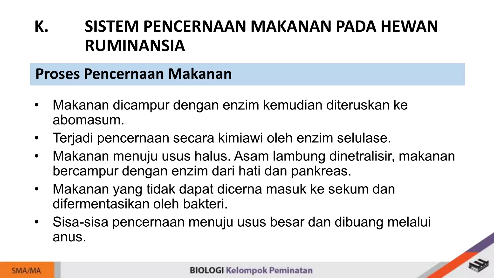 BAB 6 - SISTEM PENCERNAAN - NEW-std.ppt