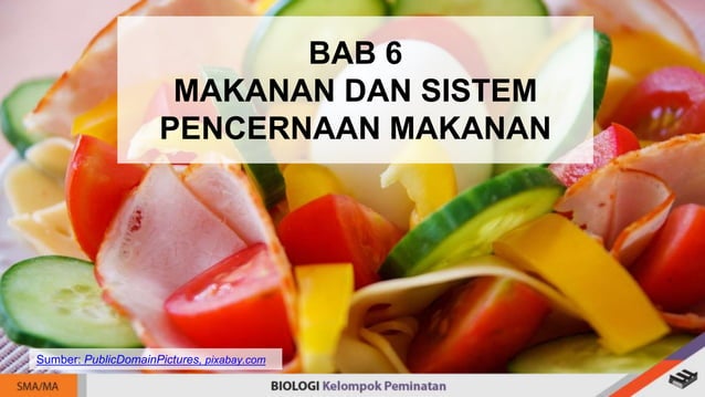 BAB 6 - SISTEM PENCERNAAN - NEW-std.ppt