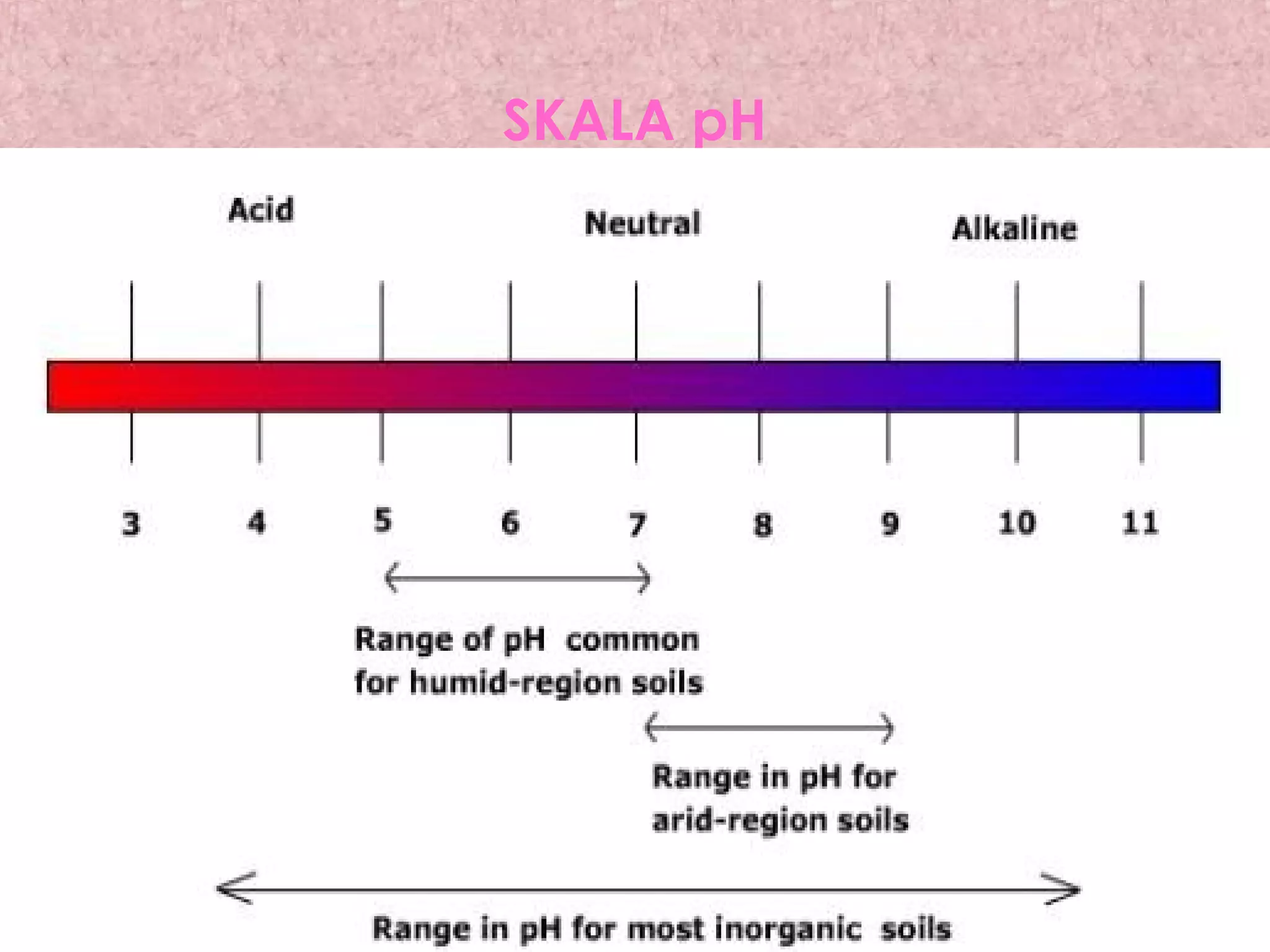 Kimia Dasar - Asam Basa | PPT
