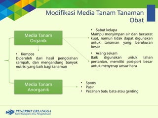 BAB 6 BUDIDAYA TANAMAN OBAT PRAKARYA KELAS 8 | PPTX
