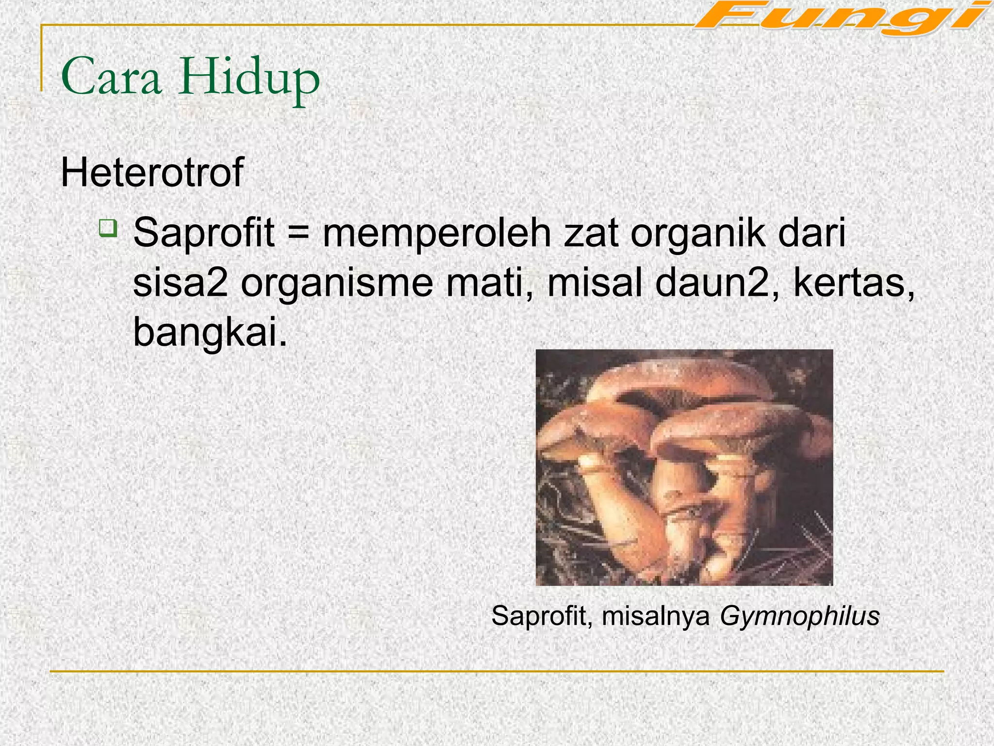 PPT FUNGI | PPT