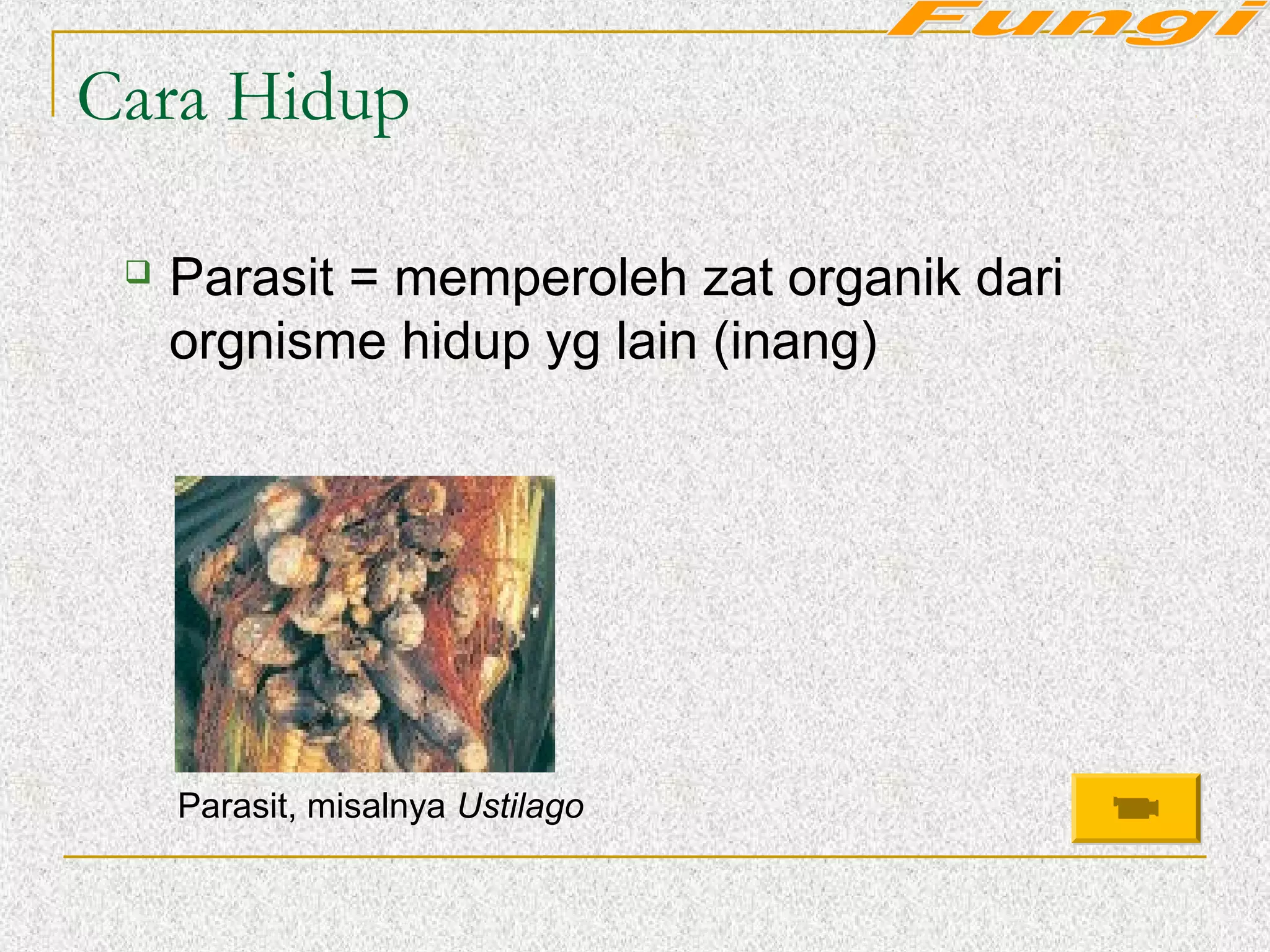 PPT FUNGI | PPT