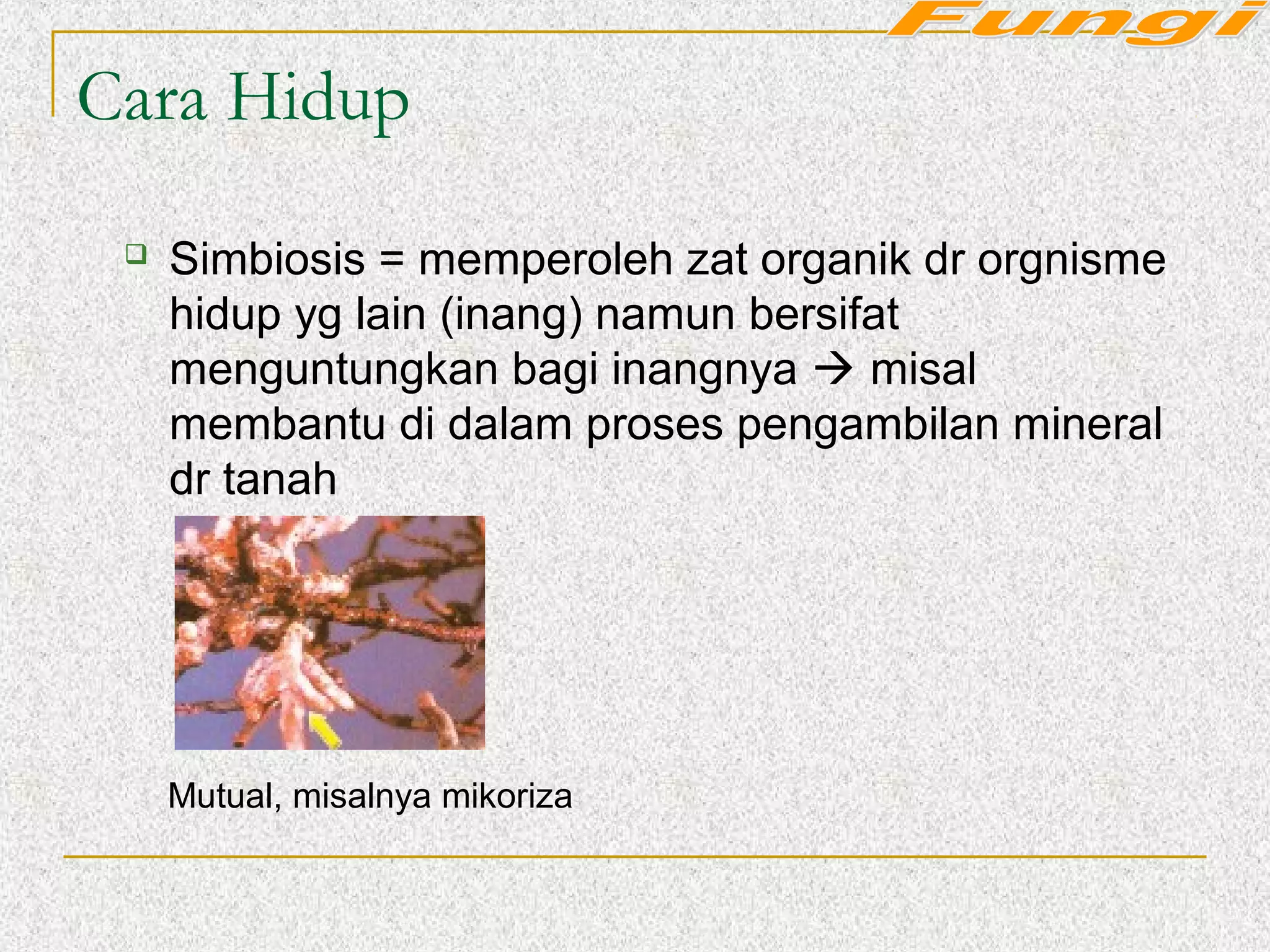 PPT FUNGI | PPT