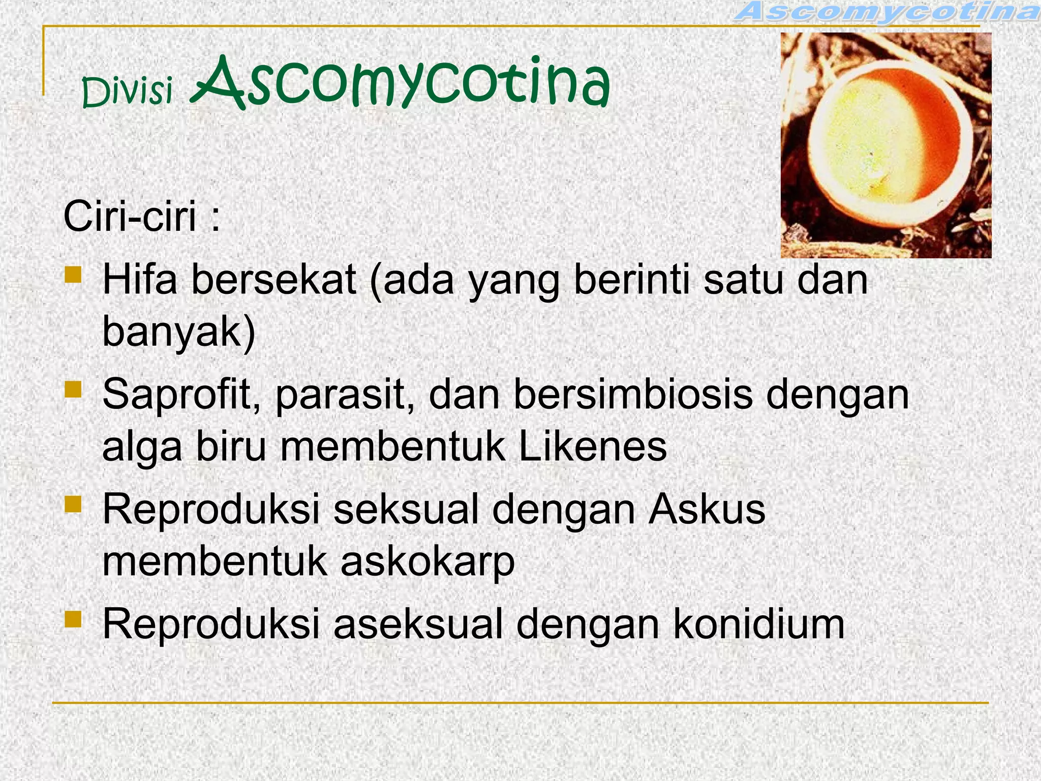 PPT FUNGI | PPT