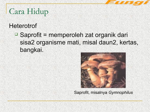 PPT FUNGI | PPT