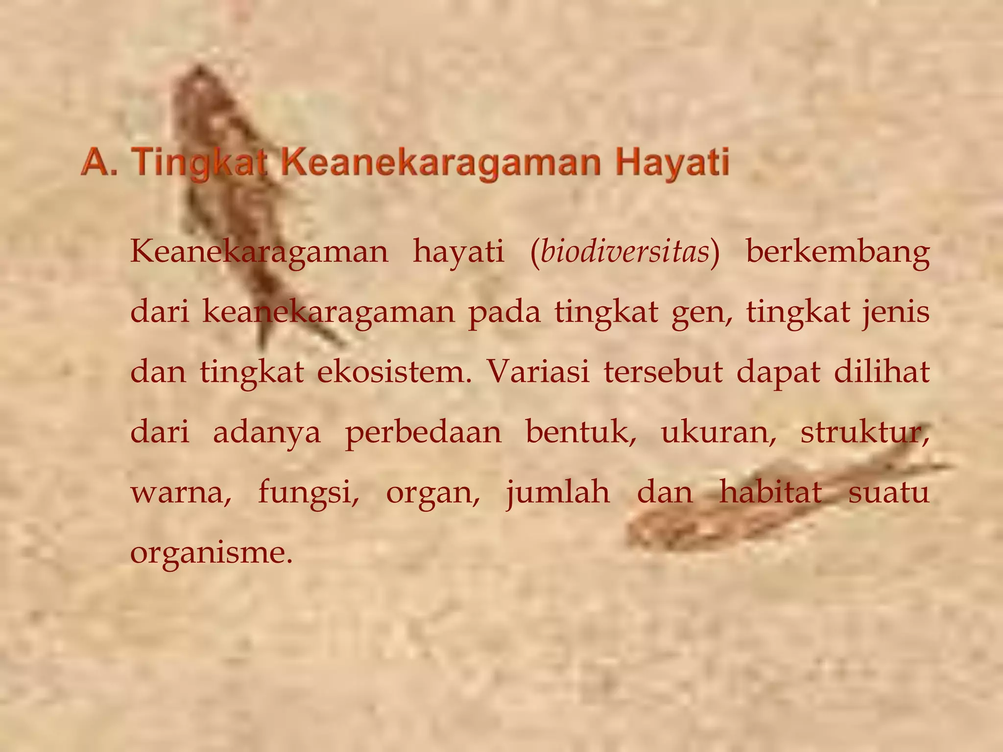 Bab 6 keanekaragaman hayati | PPTX