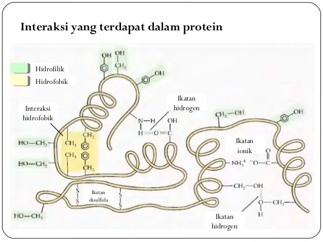 Bab 6 kimia_bioligis_bahan_hayati_