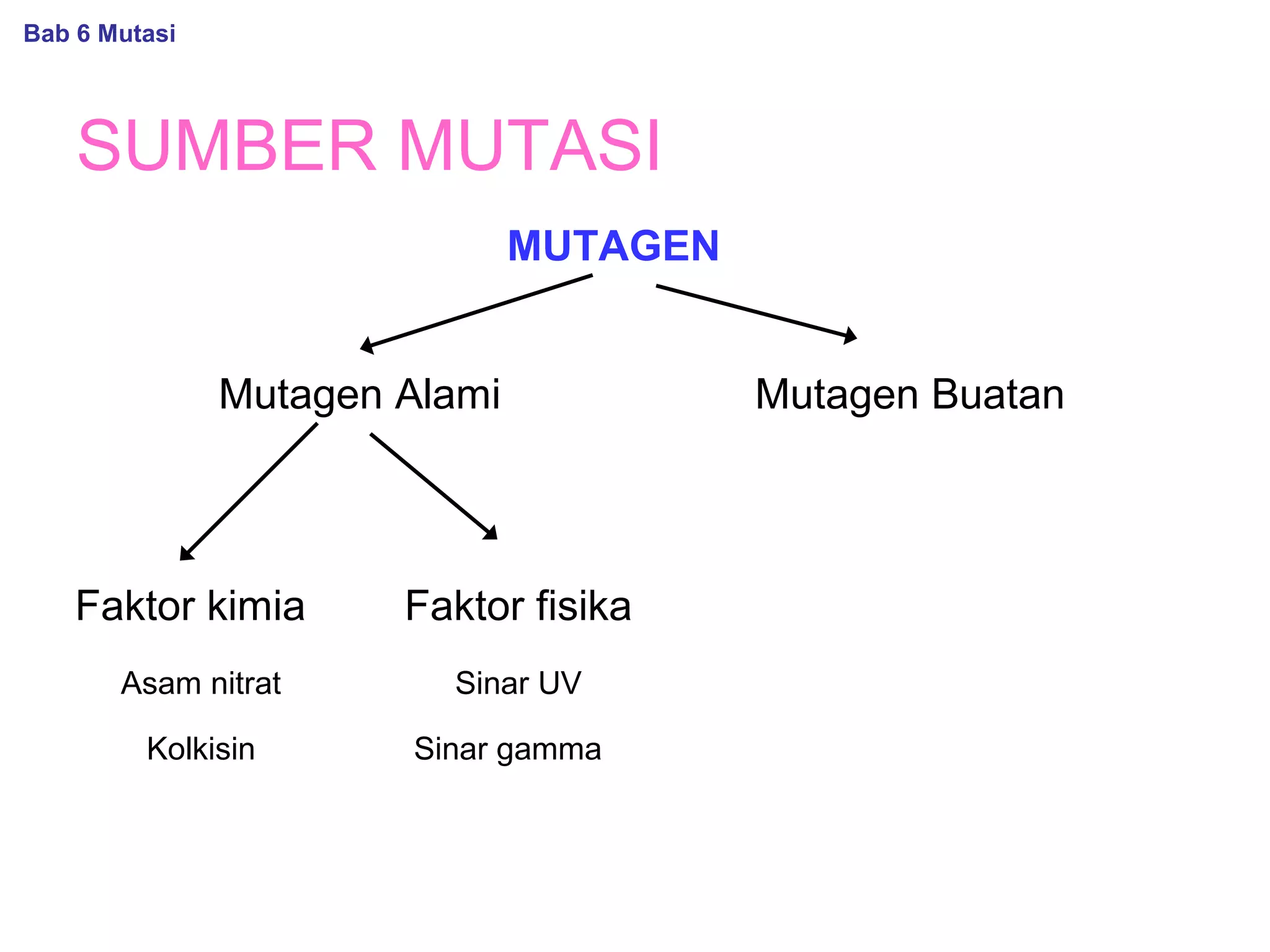 Powerpoint Mutasi Biologi SMA | PPT